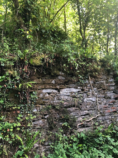 History running in the Slow lanes – Ruth Partridge