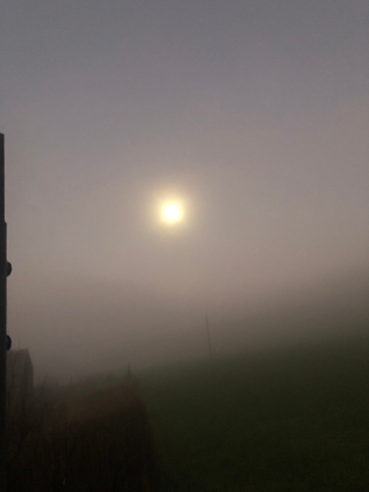 The Moon through Fog – Ruth Partridge